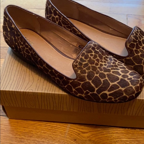 Fossil | Shoes | Fossil Flats | Poshmark